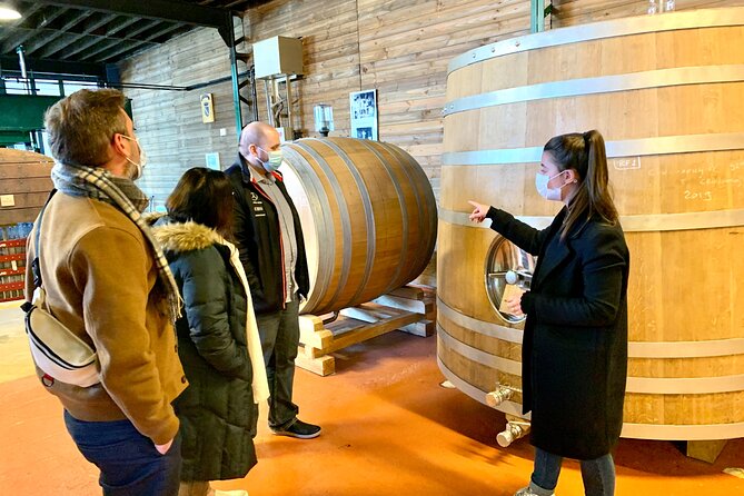 Private Full Day Tour to Champagne from Paris, Visit of 2 Champagne Producers - Source