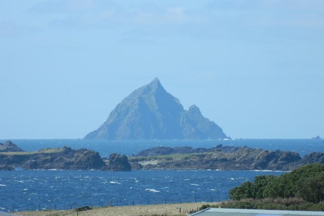 Private Full-Day Tour to Dingle and Slea Head - Who Will Love This Tour?