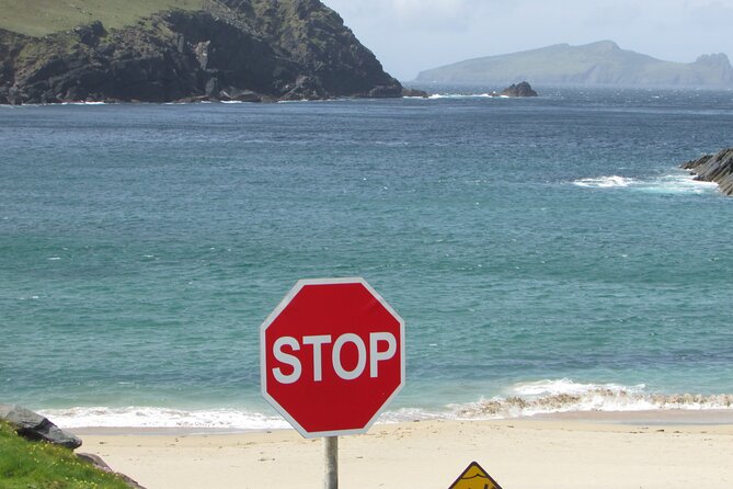 Private Full-Day Tour to Dingle and Slea Head - Final Thoughts