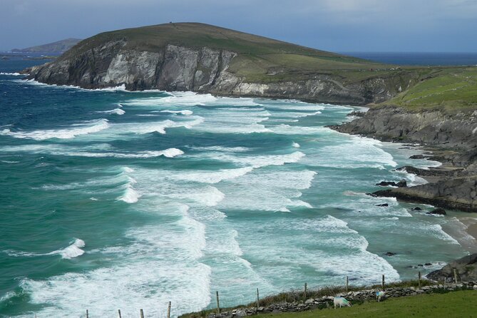 Private Full-Day Tour to Dingle and Slea Head - FAQ