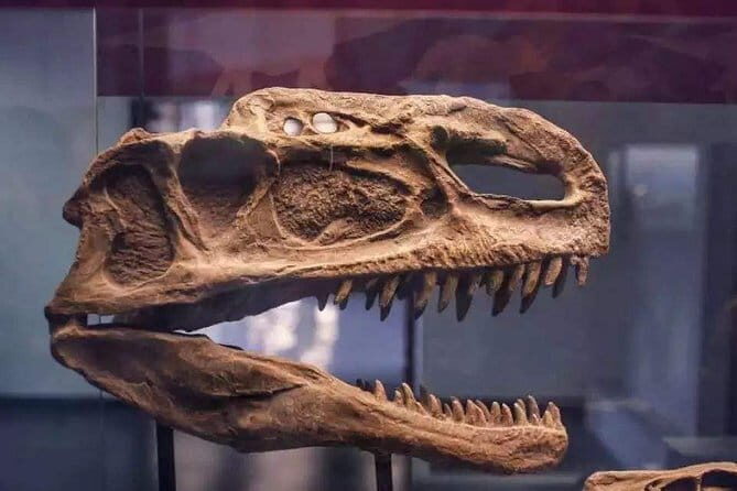 Private Full-Day Tour to Fuxian Lake and Chengjiang Fossil Site - What Travelers Have Said