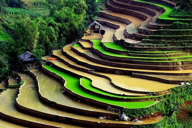 Private Full-Day Tour to Halong Bay from Hanoi - Who Would Benefit Most?