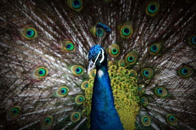 Private Full Day Tour to Harbin Beifang Forest Zoo and Optional Seafood Dinner - An In-Depth Look at the Itinerary