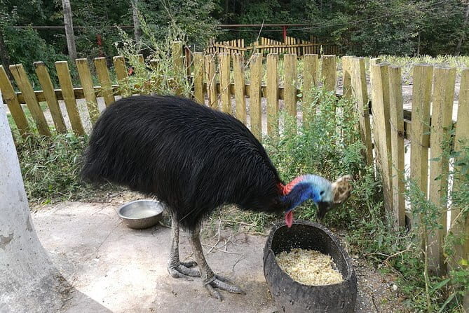 Private Full Day Tour to Harbin Beifang Forest Zoo and Optional Seafood Dinner - FAQ