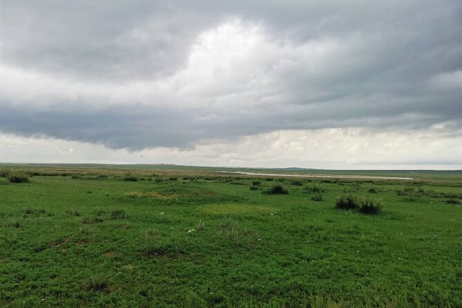 Private Full-Day Tour to Huitengxile Grassland from Hohhot - Authentic Experiences That Stand Out