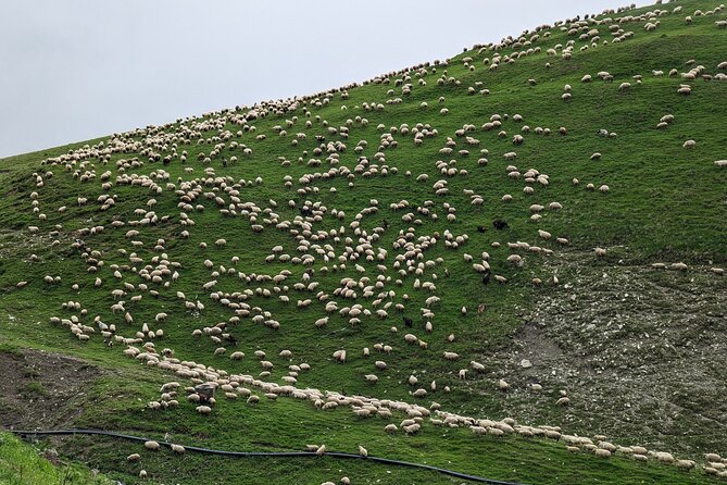 Private Full-Day Tour to Kazbegi and Gudauri From Tbilisi - Pickup Information