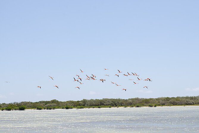 Private Full Day Tour to Laguna de Oviedo - FAQ