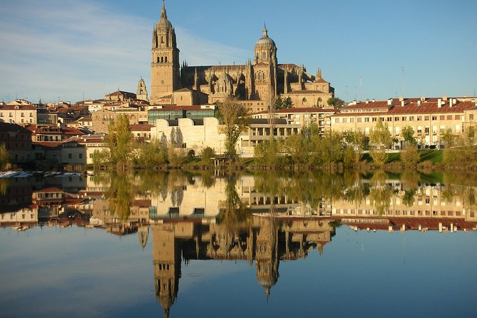Private Full day Tour to Salamanca from Madrid with hotel pick up and drop off - Why This Tour Stands Out