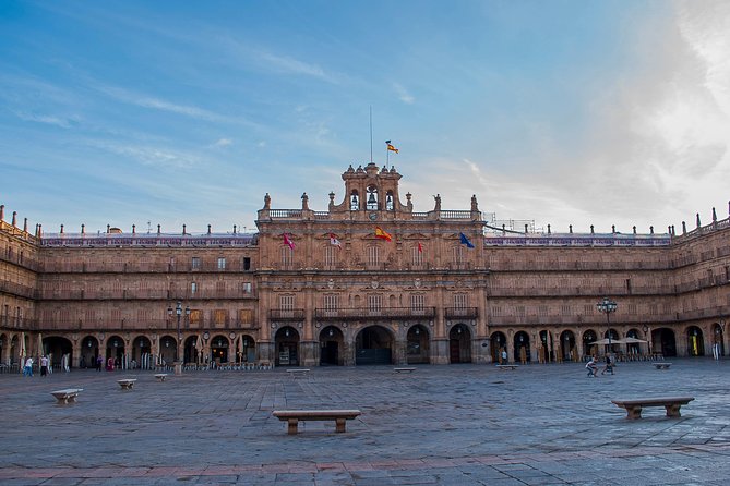 Private Full day Tour to Salamanca from Madrid with hotel pick up and drop off - Who Will Love This Tour?