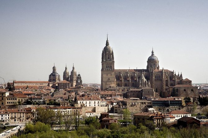 Private Full day Tour to Salamanca from Madrid with hotel pick up and drop off - The Sum Up
