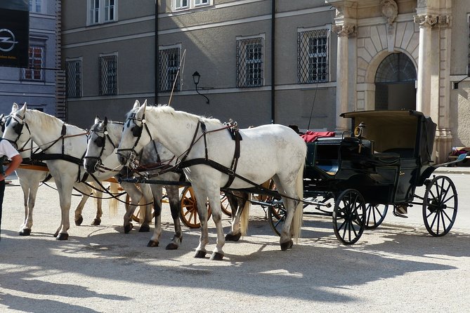 Private full day tour to Salzburg from Vienna with a local guide - FAQ