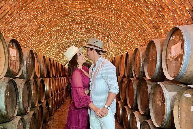 Private Full-Day Tour to Tequila Pueblo Magico - Exploring the Itinerary in Depth