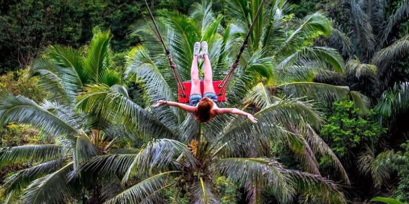 Private Full-Day Tour to the Real Bali Swing and Ubud - What Makes This Tour Stand Out