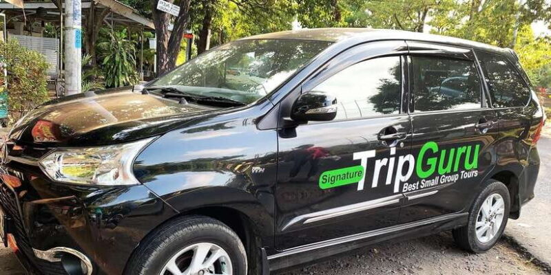 Private Full-Day Tour to the Real Bali Swing and Ubud - Who Will Love This Tour?