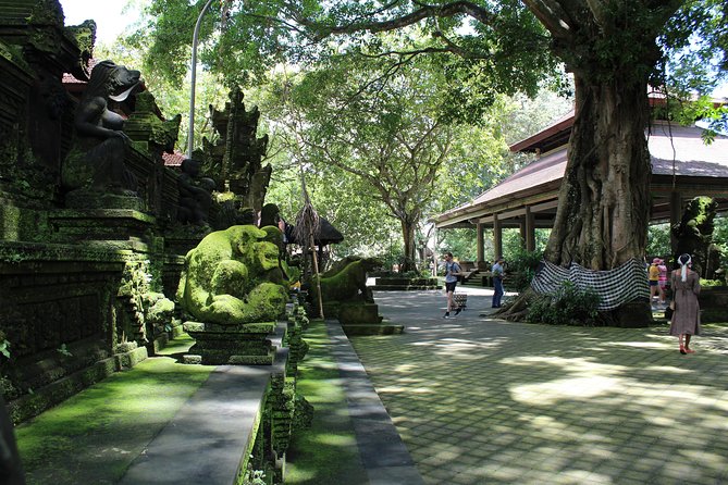 Private Full Day Tour to Ubud Highlights with Giant Swing - What Travelers Say
