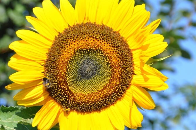 Private Full Day Tour Unesco - The Sum Up