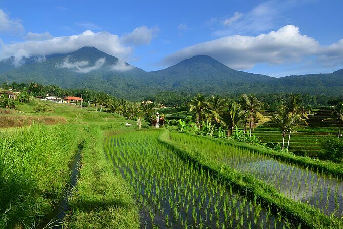 Private Full Day-Tour: UNESCO World Heritage Sites in Bali - What to Expect from the Experience