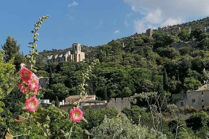 Private Full Day Tour Villages of the Luberon From Avignon - Memorable Moments From Previous Tours