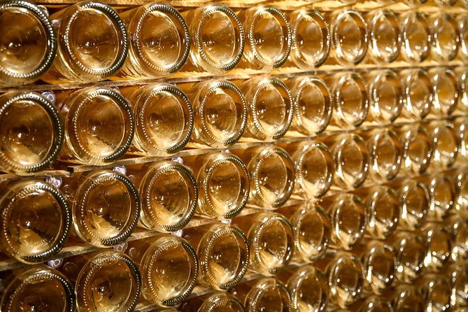 Private Full Day Tour - Visit of 3 Champagne Growers From Reims. - Participant Information
