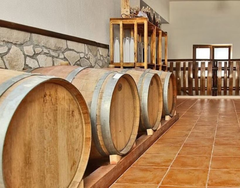 Private Full - Day Tour: Wine Tasting Tour to Peljesac - Introduction: What You Can Expect From This Tour