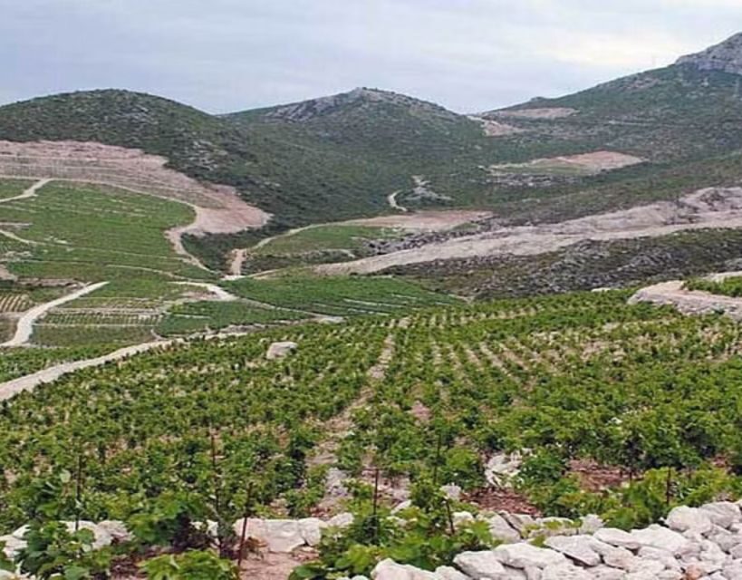 Private Full - Day Tour: Wine Tasting Tour to Peljesac - A Detailed Look at the Itinerary