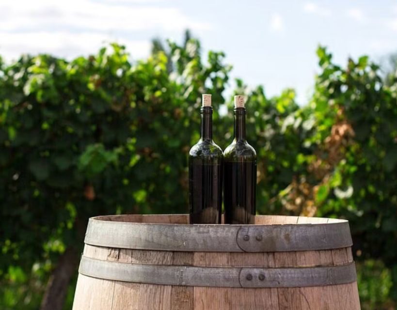 Private Full - Day Tour: Wine Tasting Tour to Peljesac - Evaluating the Value