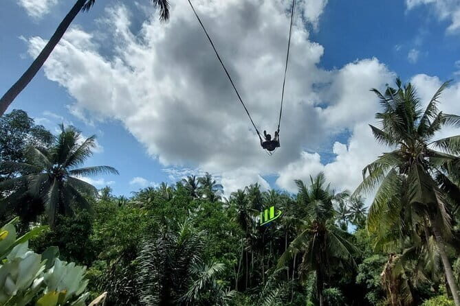 Private Full-Day Tour with Bali Swing and Water Rafting in Ubud - An Overview of the Tour Experience