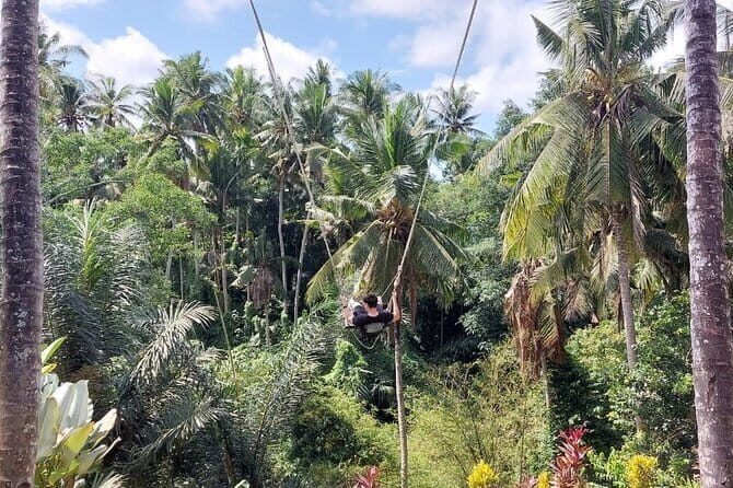 Private Full-Day Tour with Bali Swing and Water Rafting in Ubud - Final Thoughts on Value