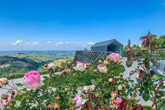 Private Full Day tour with fellow foodie as your guide - Why This Tour Stands Out