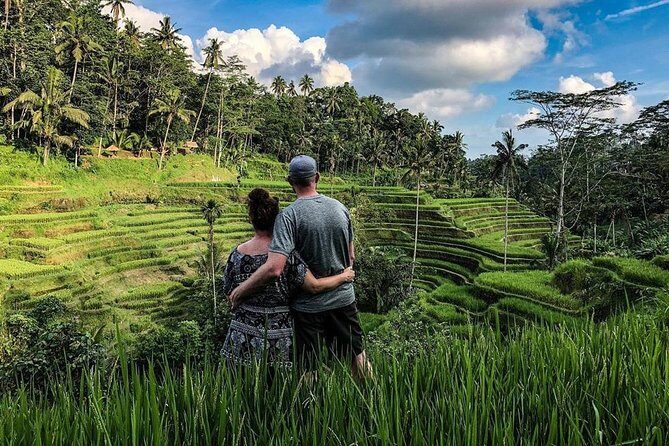Private Full Day Tour with Ubud and Kintamani Highlights - Practical Aspects & Value
