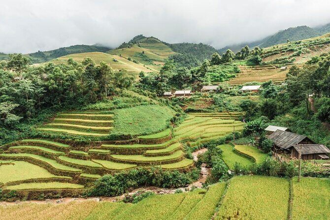 Private Full-Day Trekking Through Rice Terraced Fields from SAPA - Exploring the Sapa Rice Terraces: A Full-Day Trekking Adventure