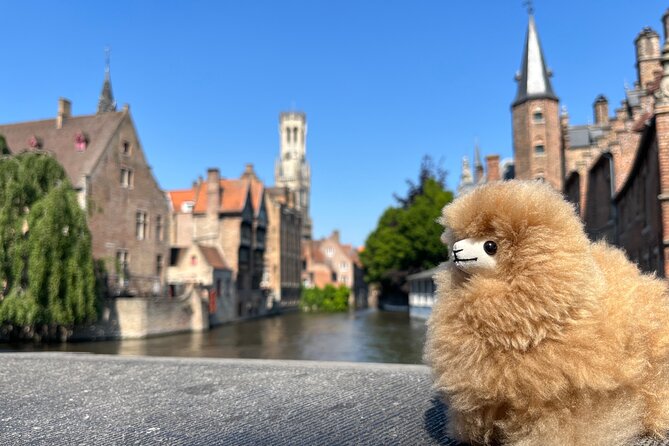 Private Full-Day Trip to Bruges&Ghent From Brussels With Tastings - Pickups and Departure