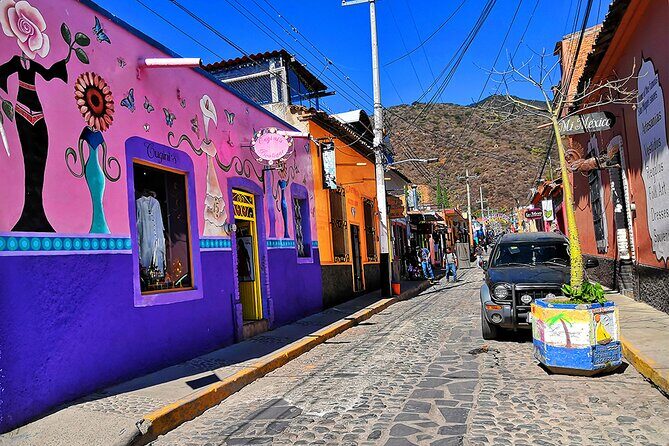 Private Full-Day Trip to Chapala and Ajijic from Guadalajara - Transportation and Timing