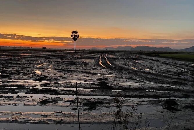 Private Full Day Tuk Tuk Tour in Battambang - Experience Quality and Value