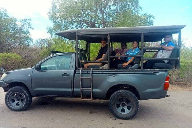 Private Full Day Udawalawe Safari Trip with Lunch - Introduction