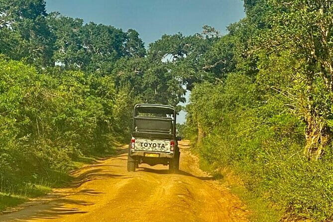 Private Full Day Udawalawe Safari Trip with Lunch - Key Points