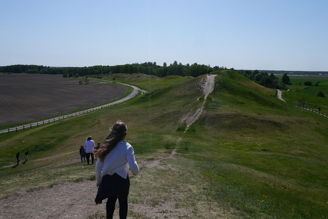 Private Full Day Viking History Tour From Stockholm Including Sigtuna and Uppsala - Sigtuna: Exploring the Oldest Town in Sweden