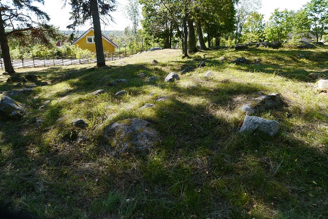 Private Full Day Viking History Tour From Stockholm Including Sigtuna and Uppsala - Uppsala: Delving Into the Viking Heritage