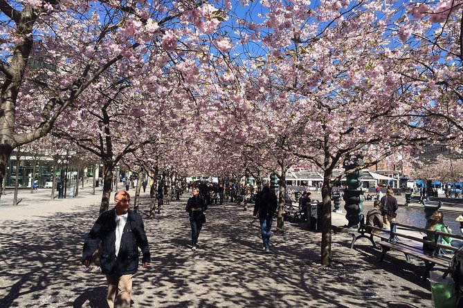 Private Full Day VIP City Tour by Limousine Car in Stockholm - Host Interaction and Customer Service