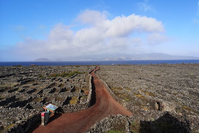 Private Full Day Visit to Pico, a First Impression - Tour Overview and Highlights