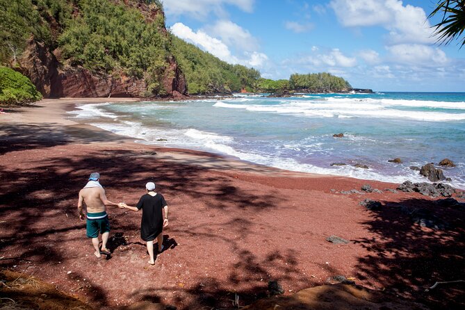 Private Full-Day Waterfall Beach and Jungle Tour of Maui - Overview of the Tour Experience