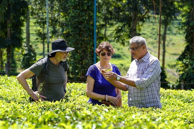 Private Full Day Wild Trails at Thekkady - Practical Advice for Travelers