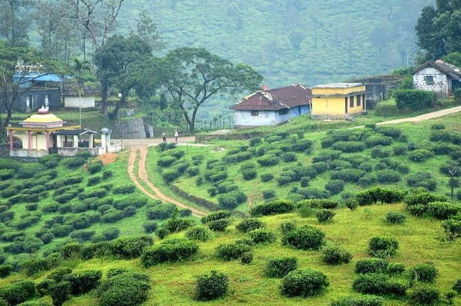 Private Full Day Wild Trails at Thekkady - Who Is This Tour Best For?