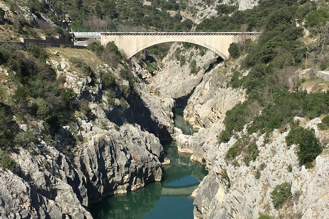 Private full day wine tour and Medieval Village from Montpellier - Transportation and Group Dynamics