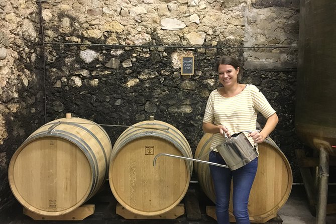 Private full day wine tour and Medieval Village from Montpellier - What Reviewers Say