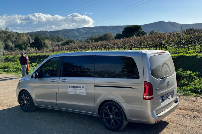 Private Full-Day Wine Tour Arrábida From Lisbon With Tastings - Unique Aspects of the Tour