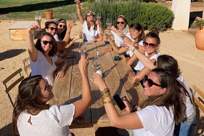 Private Full Day Wine Tour in Provence From Marseille Cruise Port - Exploring Traditional French Towns: Cassis, Lourmarin, or Aix-en-Provence