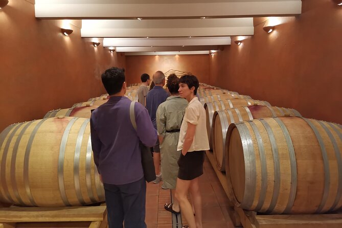 Private Full Day Wine Tour in Provence From Marseille Cruise Port - Recommendations for Preparing for Your Wine Tour