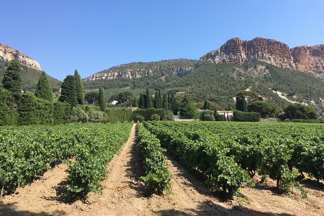 Private Full Day Wine Tour in Provence From Marseille Cruise Port - Booking and Cancellation Policies