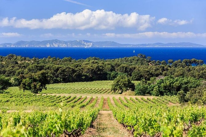 Private Full Day Wine Tour in Provence from Toulon Cruise Port - Key Points